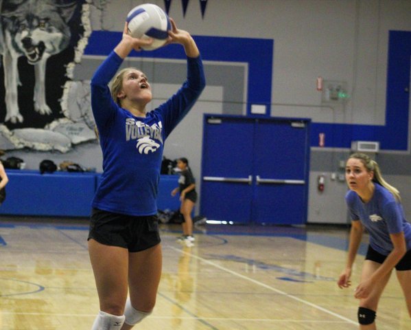 TIMBERWOLVES ON THE PROWL - Manteca Bulletin