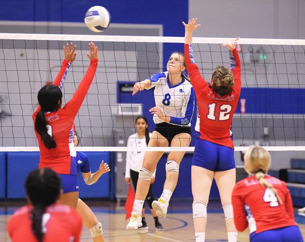 T’wolves take care of EU - Manteca Bulletin