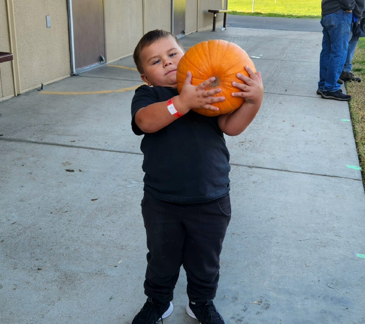 A PUMPKIN TRADITION - Turlock Journal