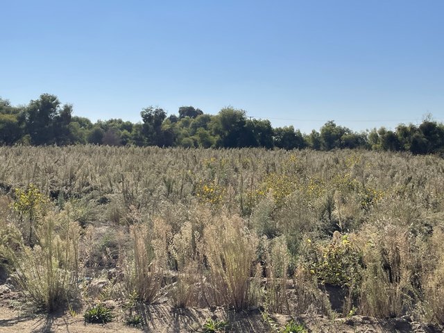 Dos Rios Ranch set to be newest California park - Westside Connect