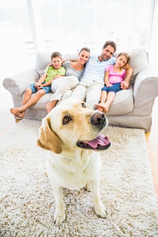 Tips For Choosing A Family Pet - Escalon Times