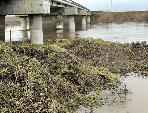 River level rises 15.04 feet in 30 days - Manteca Bulletin