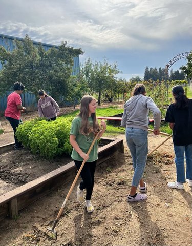 In The Garden: Rams Enjoy Getting Their Hands Dirty - Oakdale Leader