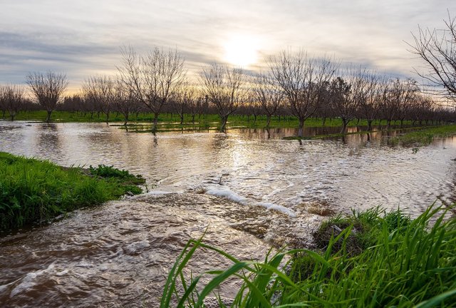 Storm runoff offers recharge for drought-ridden farmland - Turlock Journal