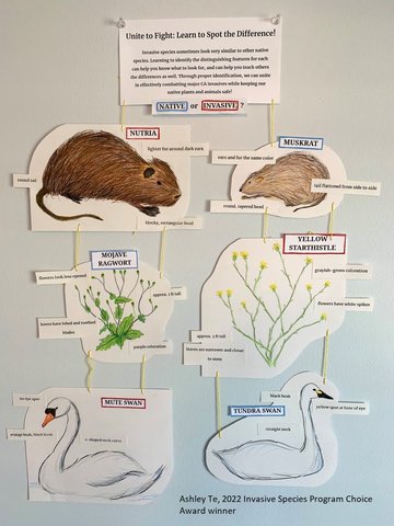 Invasive Species Week Contest Seeks Young Eco-Influencers - Oakdale Leader