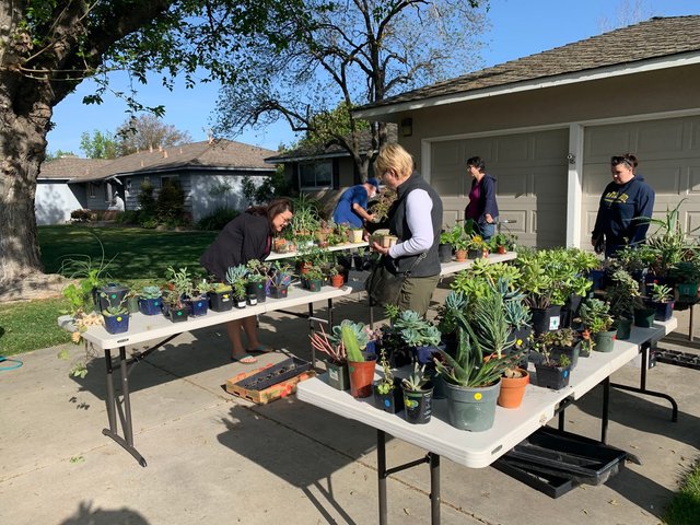 Garden club invites community to spring events - Turlock Journal