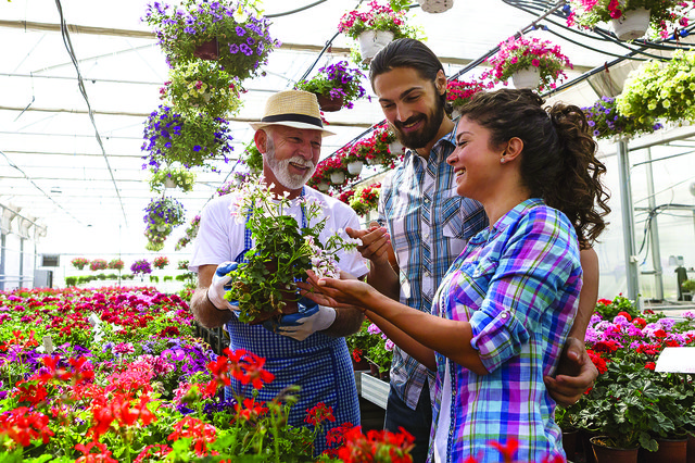 Enjoy The Benefits Of Planting Native Species - Escalon Times