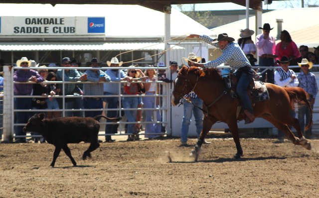Oakdale Saddle Club Rodeo Pays Off For Contestants - Escalon Times