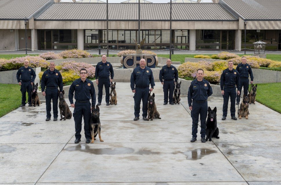 New CHP Canine Teams Ready For Deployment - Oakdale Leader
