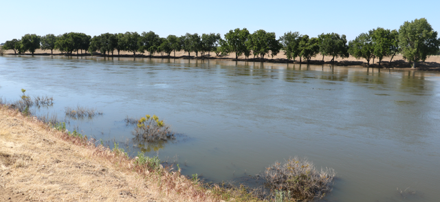 SAN JOAQUIN RIVER’S PREMIER WALKING TRAIL - Manteca Bulletin