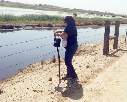 Mosquito district battling pests which pose threat to some folks ...