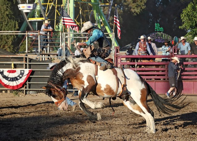 Final Fair Countdown 2023 - Turlock Journal