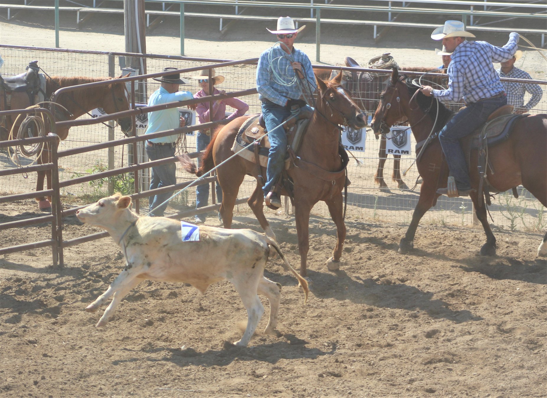 Ranch Rodeo Competitors Embrace Cowboy Day Event - Oakdale Leader