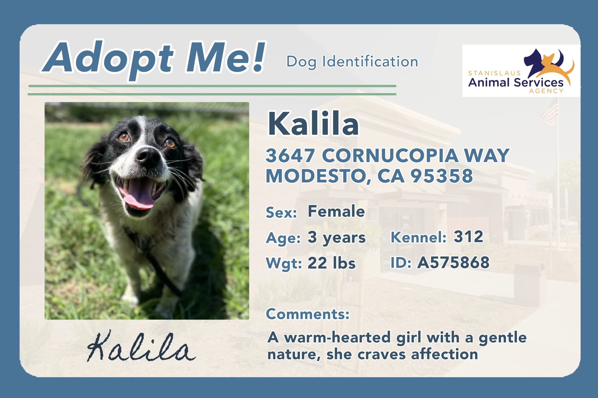 ‘Clear the Shelter’ aim of free pet adoption event - Turlock Journal