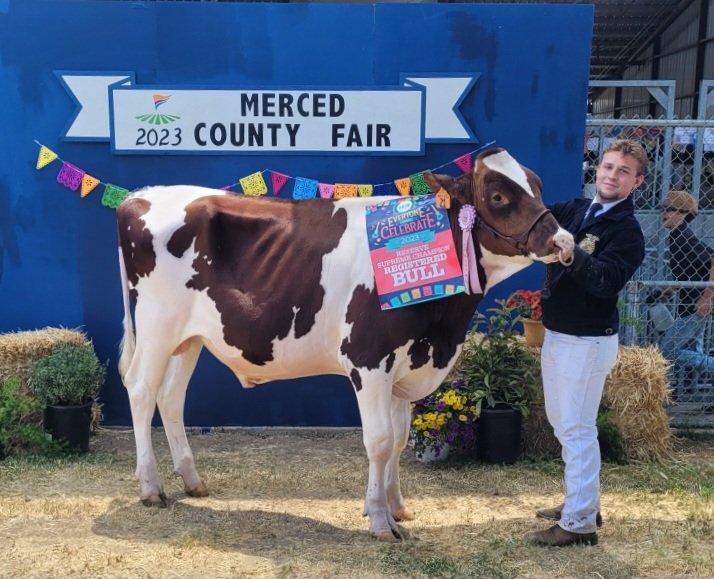 Livestock shows shatter records at 132nd Merced County Fair - Turlock ...