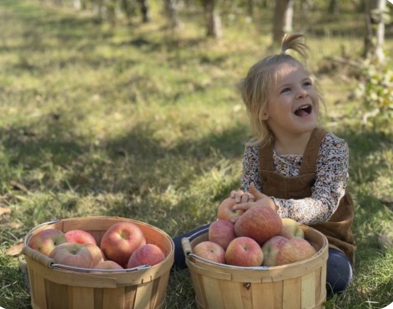 THE JOY OF U-PICK APPLES - Manteca Bulletin