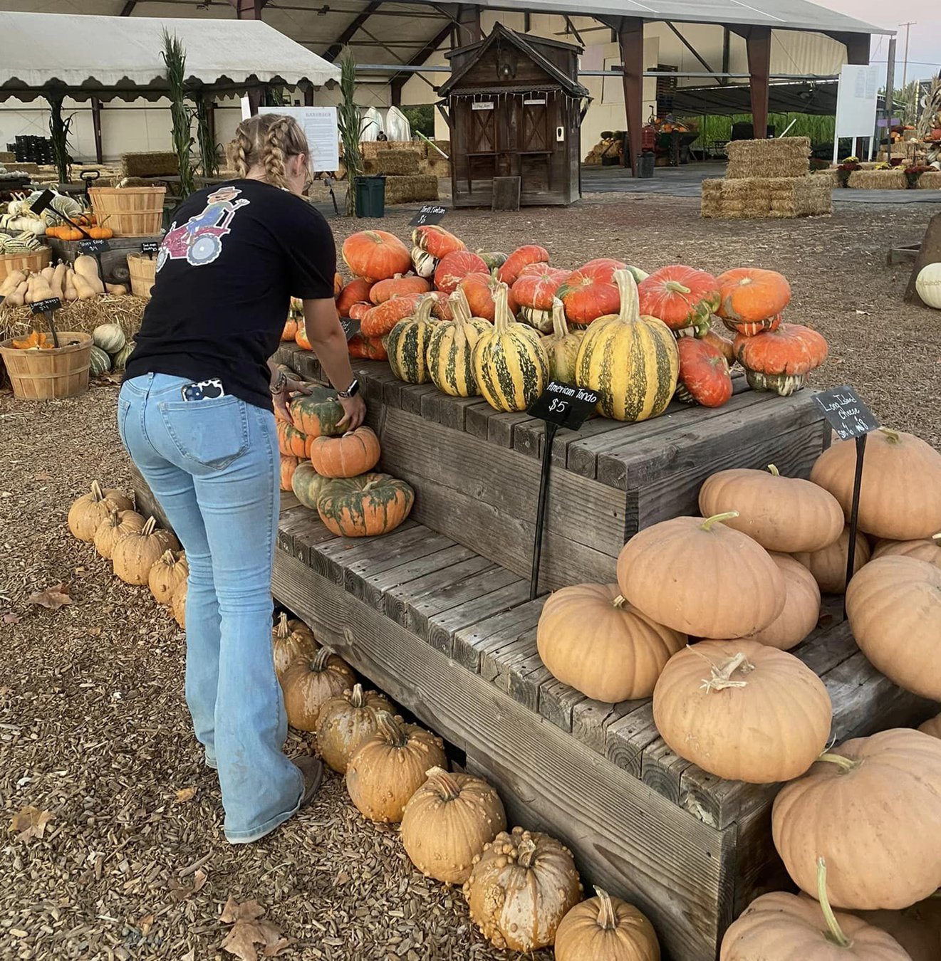 From the Fields - Turlock Journal