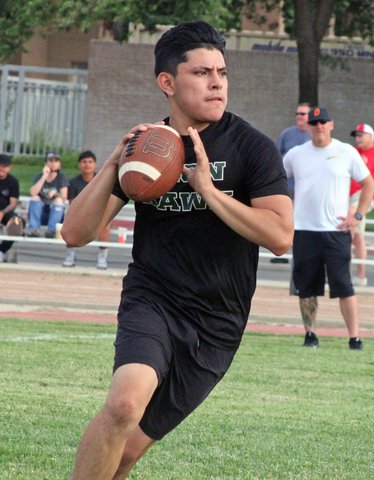 Knee injury sidelines Hawk QB - Ceres Courier