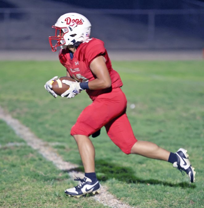Bulldogs drop to 3-6, Hawks fall to 4-5 on the year - Ceres Courier