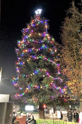 Hospice Tree of Lights ceremonies planned for Manteca & Ripon - Manteca ...