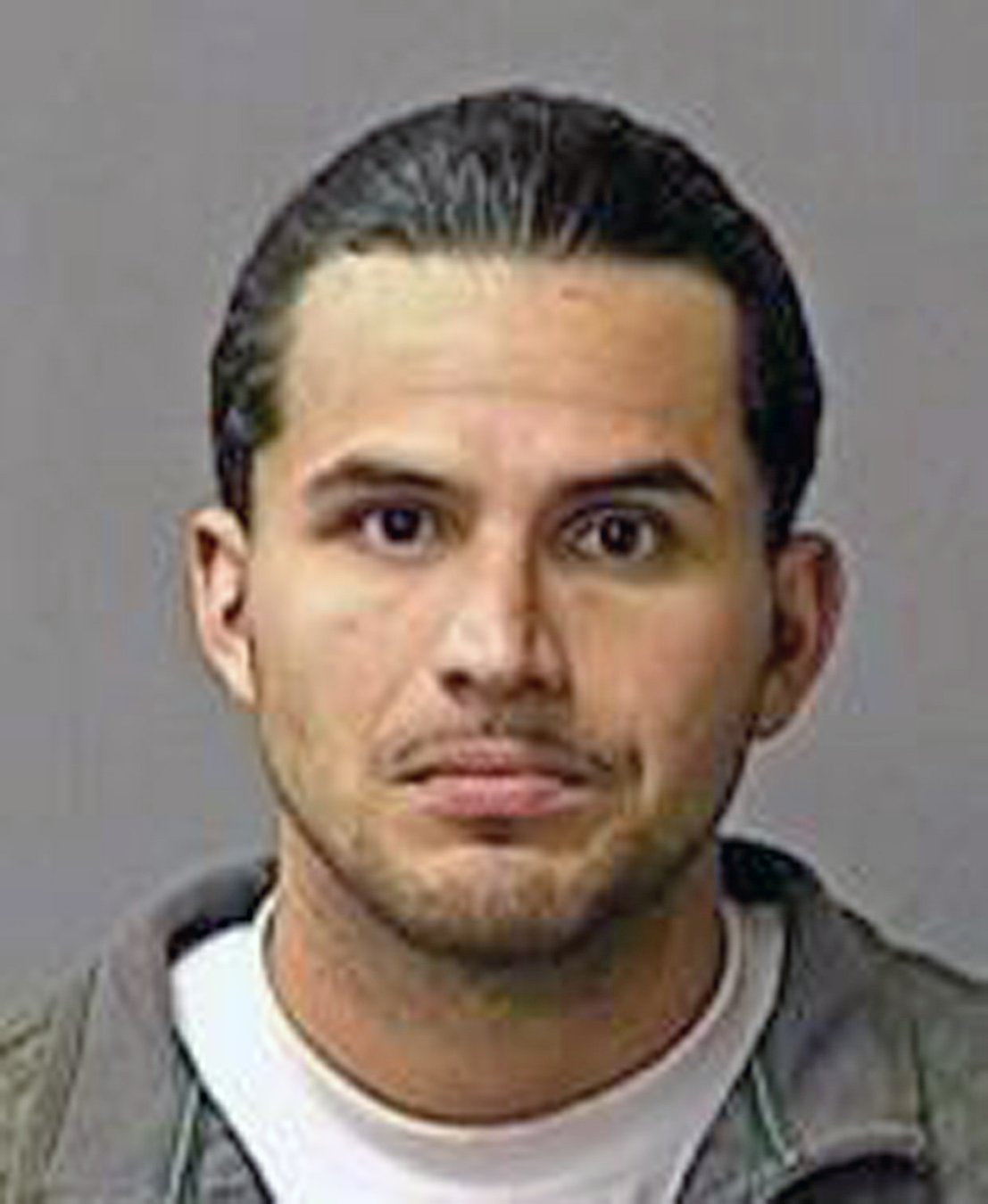 Van theft suspect tries to elude police going into dairy - Ceres Courier