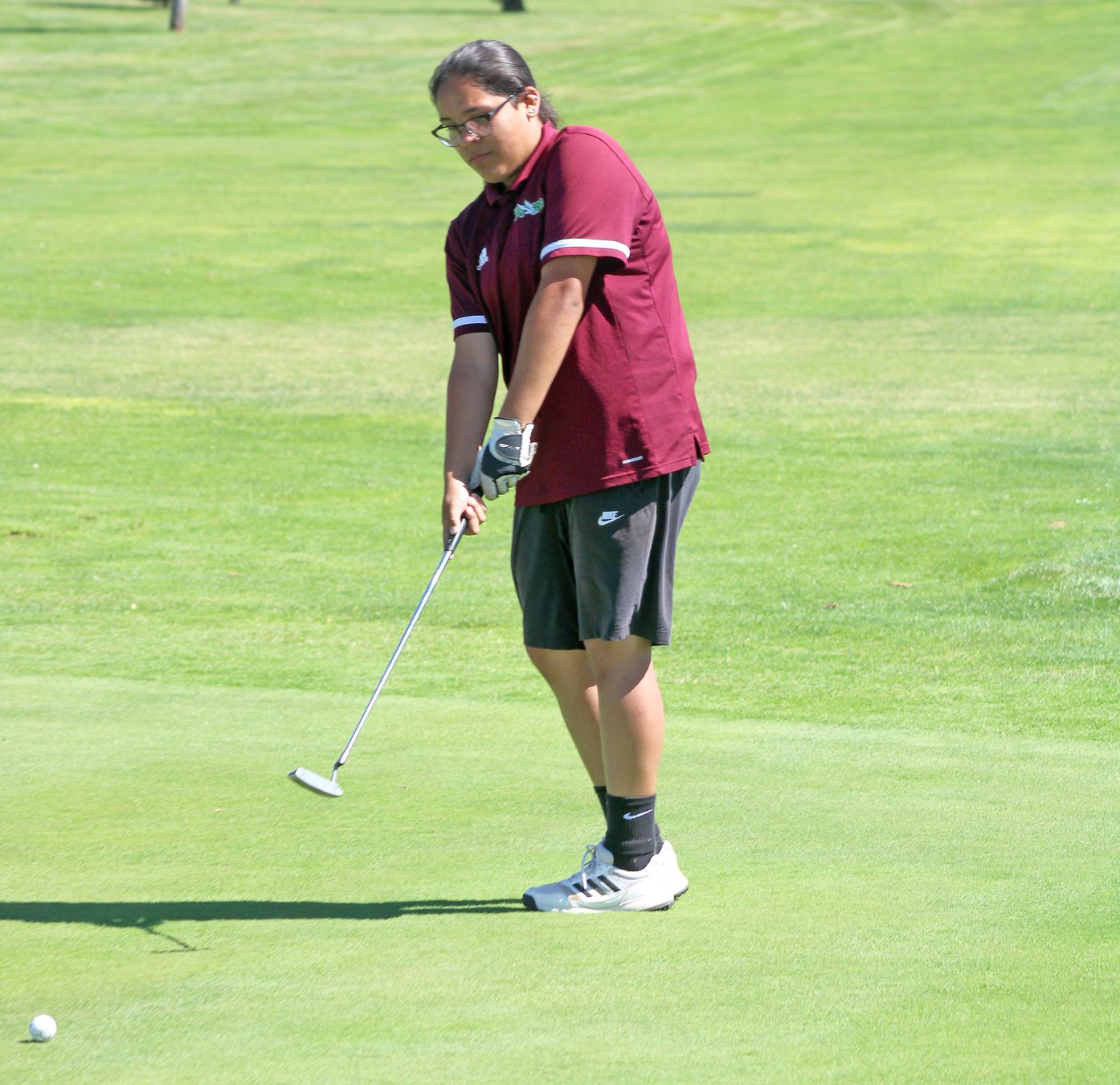 Central Valley, Ceres High golfers garner recognition - Ceres Courier