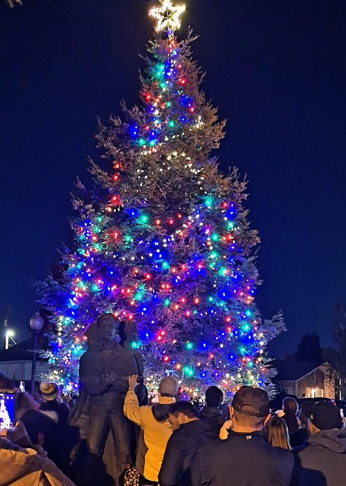 Ripon’s Tree of Lights ‘a magical night’ - Manteca Bulletin