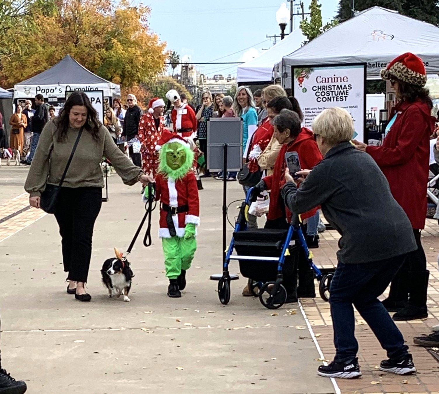 Costume Parade: Pets Put Best Paws Forward - Escalon Times