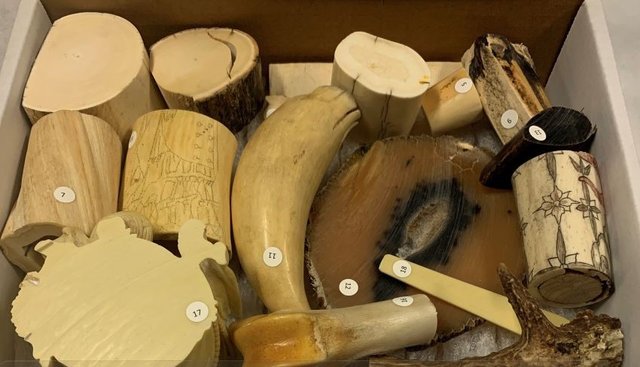 Defining Differences In Ivory, Science Of Tagging Fish - Oakdale Leader