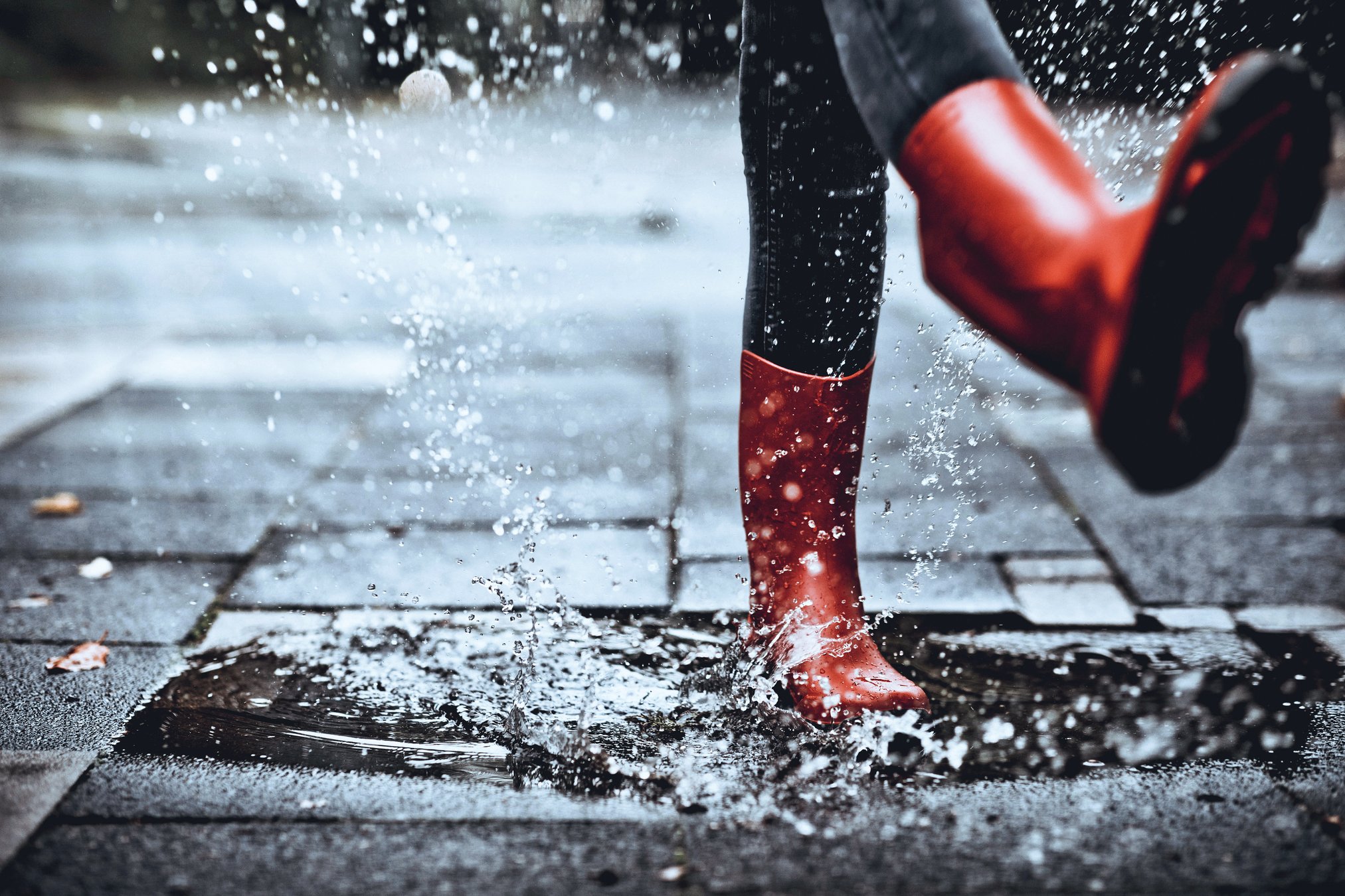 Wet or dry season? It’s still up in the air - Turlock Journal