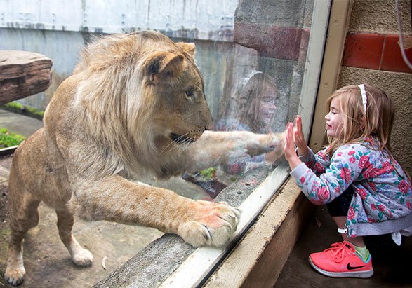 See the Wild Side of San Francisco - Oakdale Leader