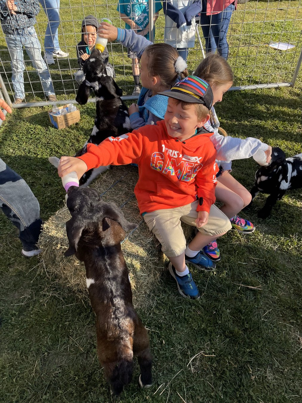 Annual Ag Day fun, festivities for Fair Oaks students - Oakdale Leader