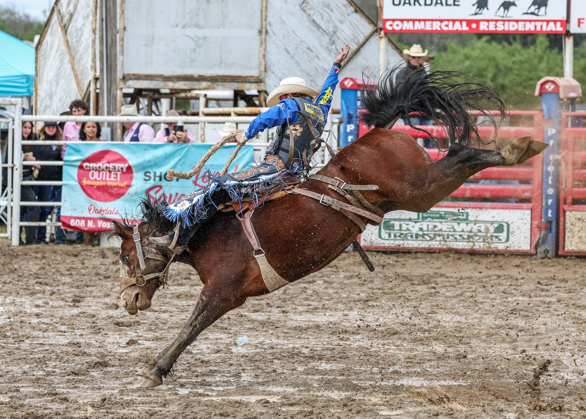 Annual spectacle ropes in thousands at Saddle Club arena - Oakdale Leader