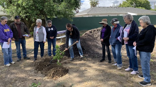 Arbor Day tree planting celebration at garden - Escalon Times