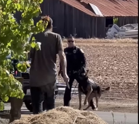 Sheriff releases camera footage of deputy-involved shooting - Turlock ...