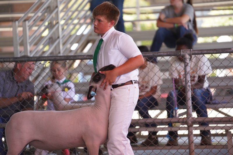 Merced Fair draws crowds for annual five-day run - Turlock Journal