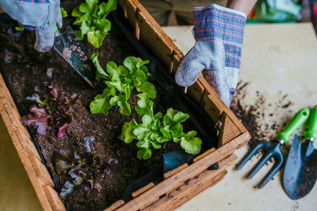 Turlock Library offers activities for all ages throughout August ...