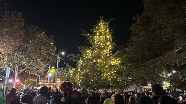 Downtown annual report highlights expanded events, partnerships ...