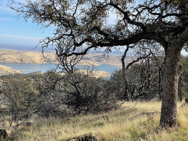 Give Gov. Newsom credit for advancing land conservation as a California ...