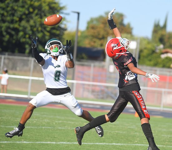 Jr. Buffs trample Ceres Jr. Bulldogs in Central Valley shutout ...