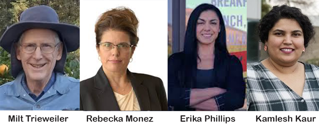 Get to know your local candidates - Turlock Journal