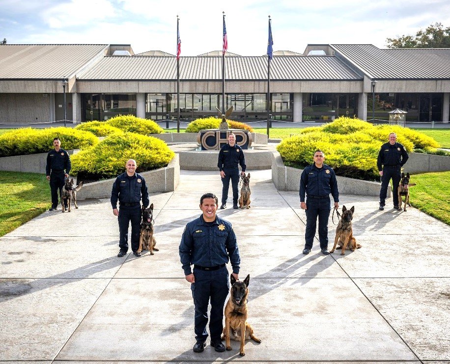 Six new K-9 teams welcomed to CHP ranks - Oakdale Leader