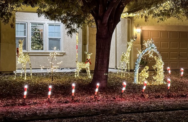 Lighting up the holidays nights - Riverbank News