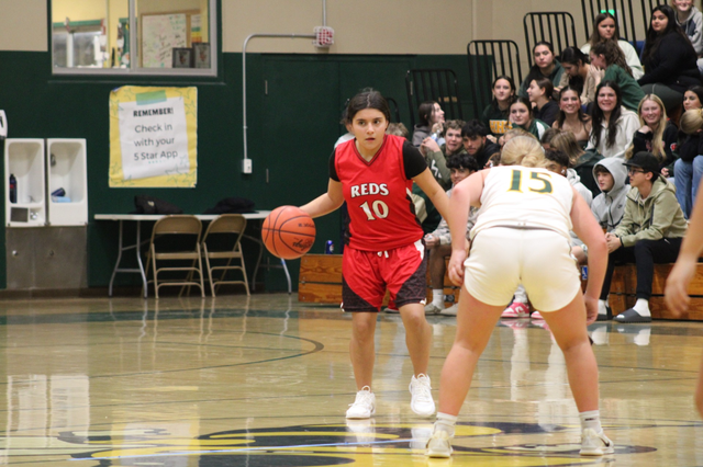 Tip-Off to a thrilling new season: Lady Reds gear up for basketball ...