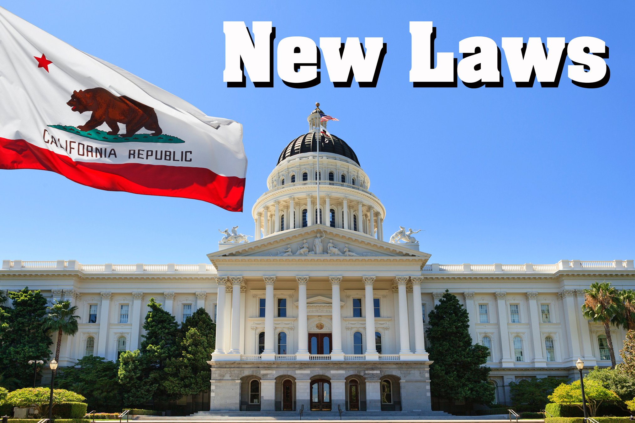 New year greets host of new public safety laws - Ceres Courier