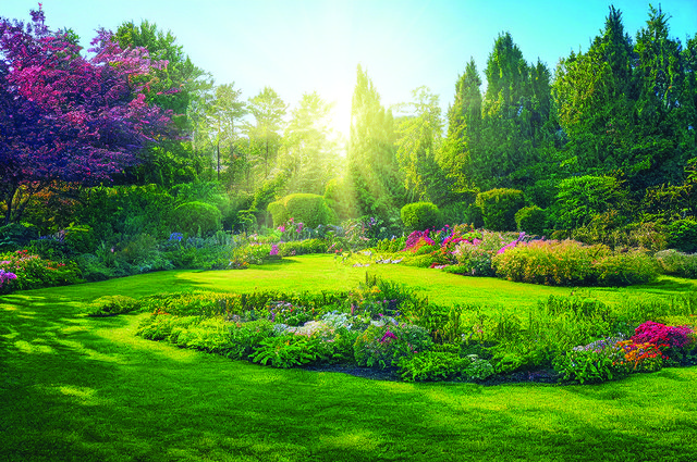 Observances of Groundhog Day across the country - Escalon Times