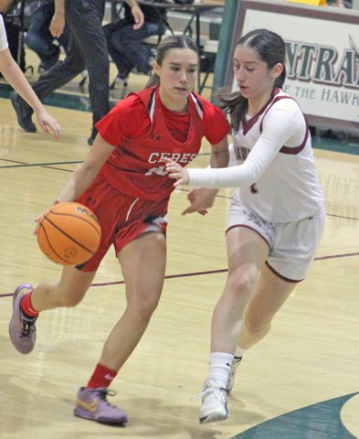 Dawgs top Hawks in JV girls hoops - Ceres Courier