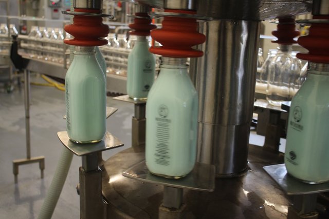Dairy farmers approve changes to milk pricing order - Westside Connect