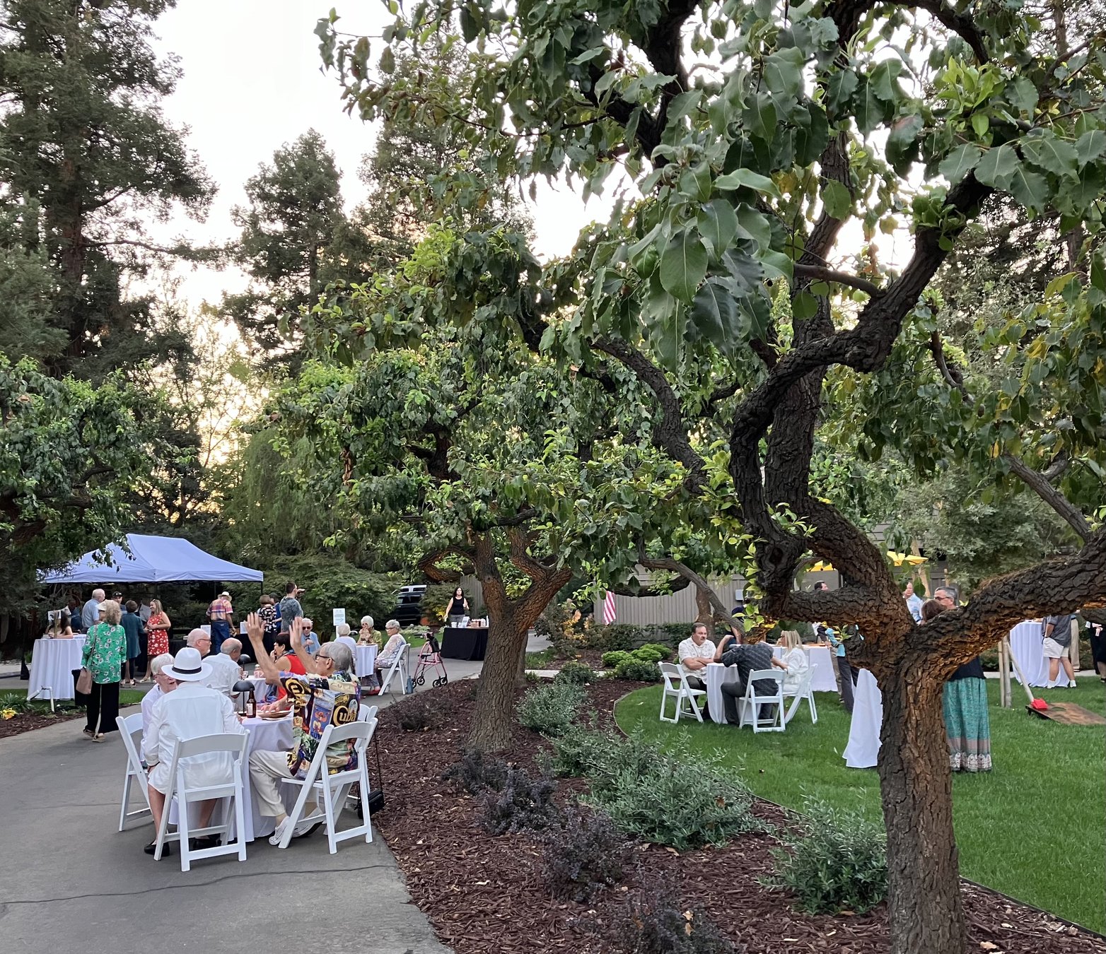 Garden Party to benefit Carnegie Arts Center - Turlock Journal