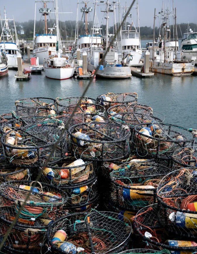 Ailing industry has transformed NorCal fishing village into tourist ...